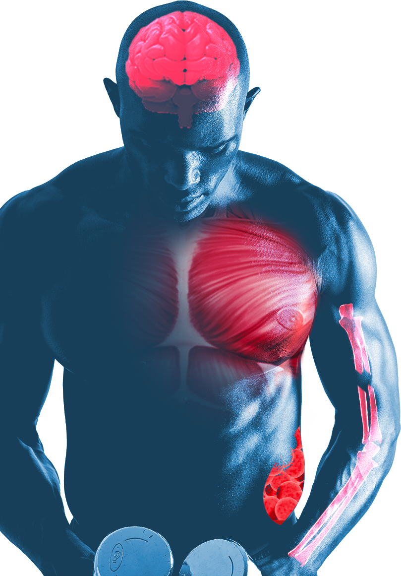 Bio Protein Plus - Health Source Online